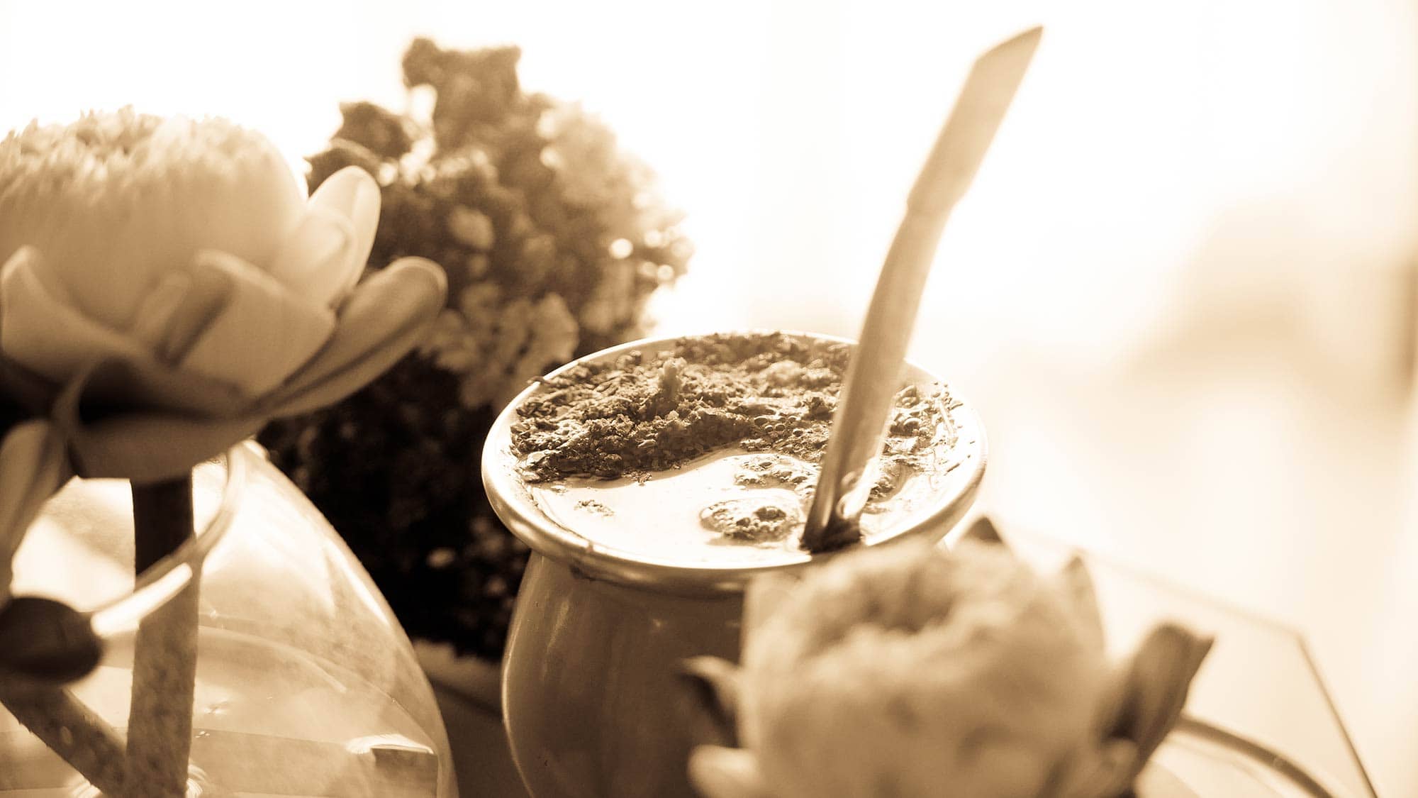 Mate Circle: Mate All Day – Circle of Drink