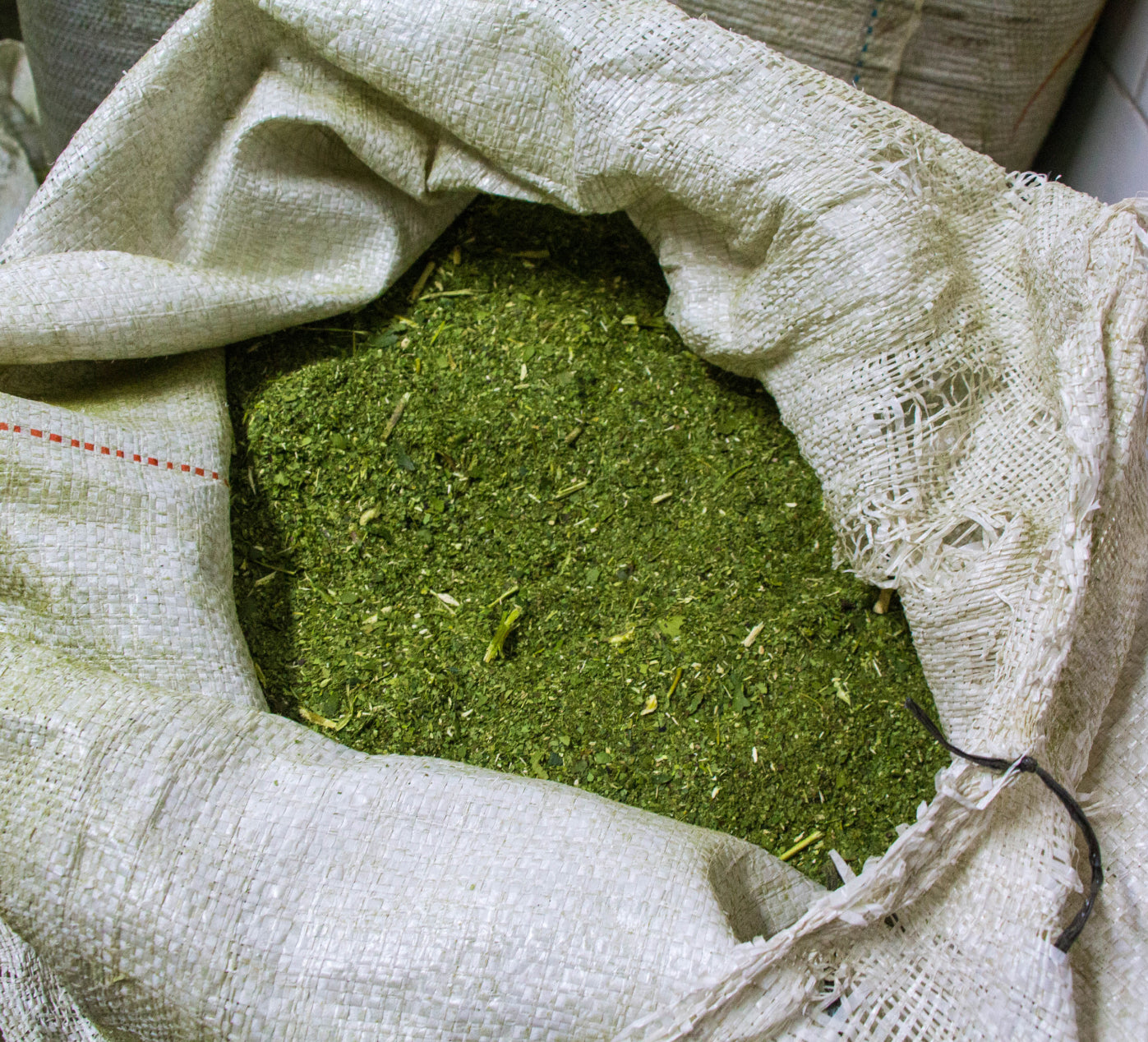 Mate 101 – Circle of Drink